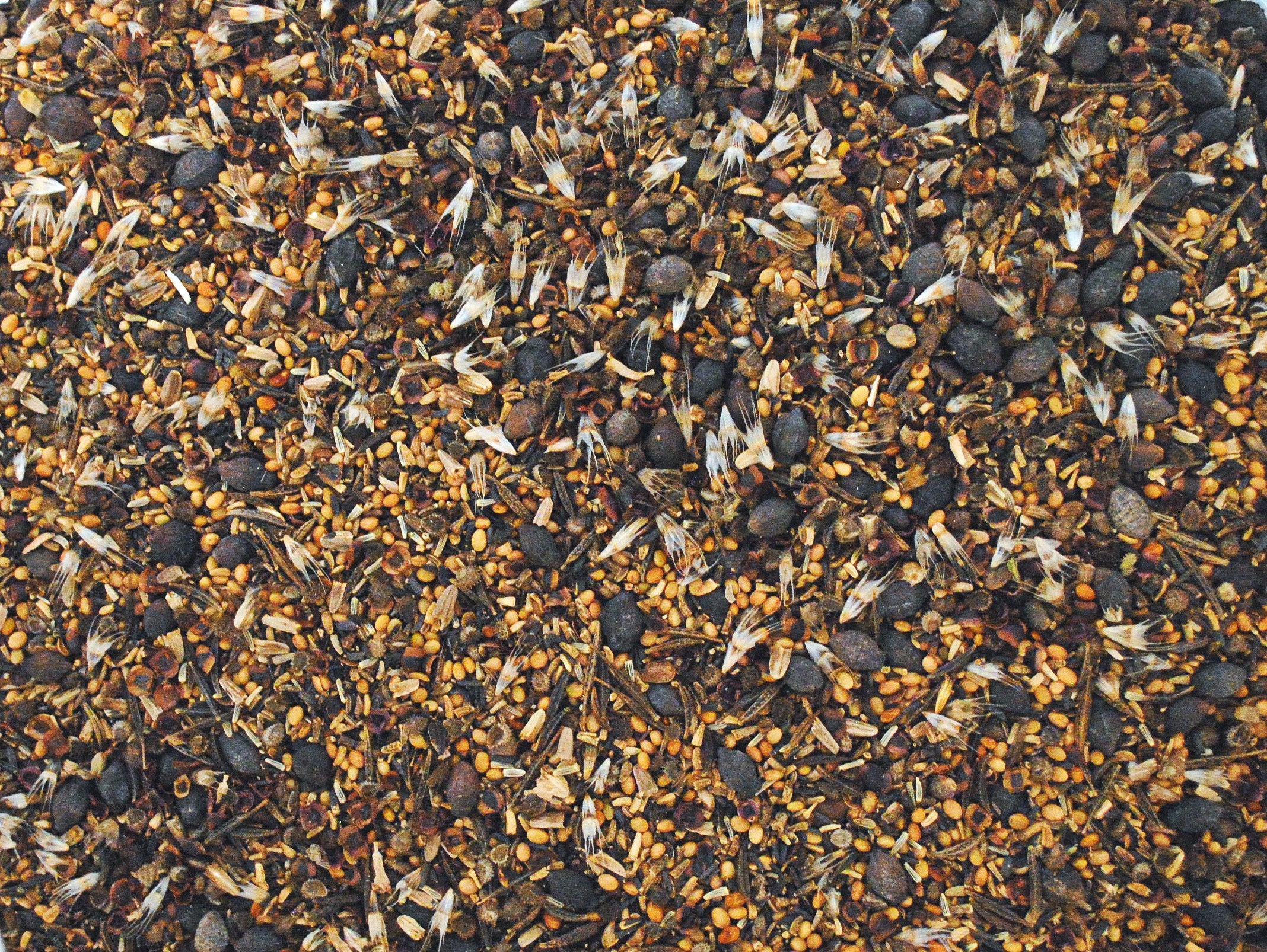 Custom Seed Mixes – Vermont Wildflower Farm