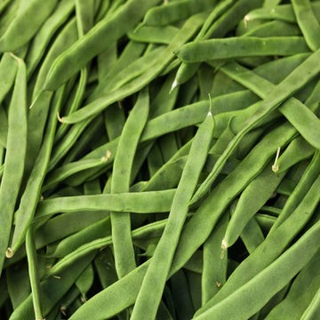Vegetable & Fruit Seed – Vermont Wildflower Farm
