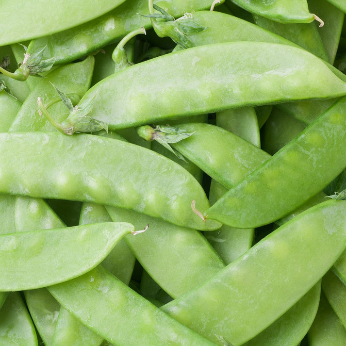 ORGANIC Pea - Snow Pea Seeds – Vermont Wildflower Farm