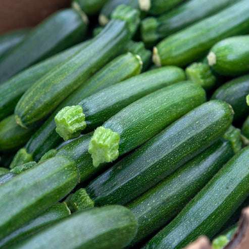 ORGANIC Squash - Fordhook Zucchini Seeds – Vermont Wildflower Farm