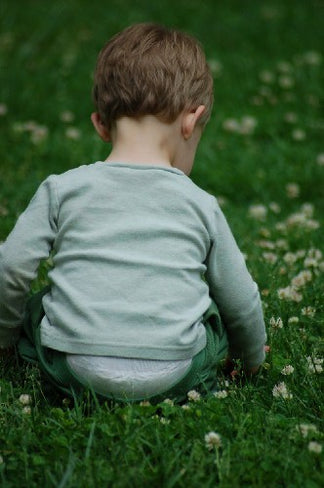 Magic Carpet Clover, Grass and Wildflower Seed Mix – Vermont Wildflower ...